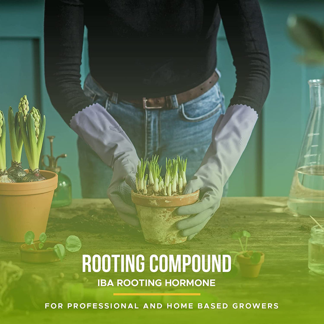 Rooting Gel | Hydroponic Supplies – Midas Hydroponics & Gardening